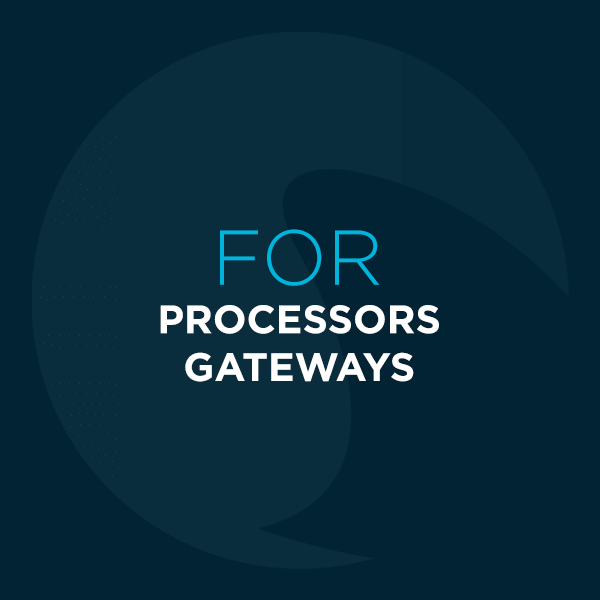 Bluefin Payment Systems: Encrypted Payment Processing