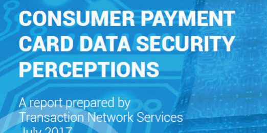 Bluefin Payment Systems: Encrypted Payment Processing