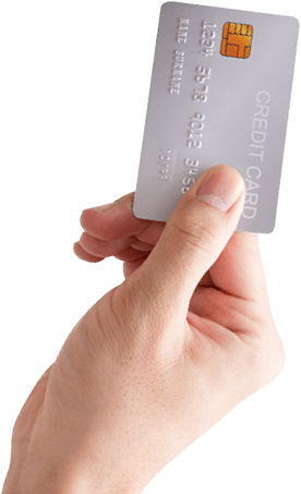 Bluefin: Payment & Sensitive Data Security Solutions