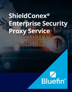 Bluefin: Payment & Sensitive Data Security Solutions